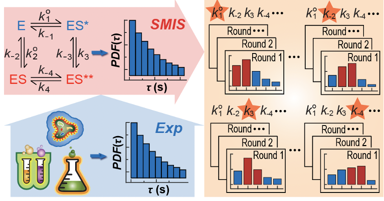 Single-molecule interaction simulation | Yuteng Zhang